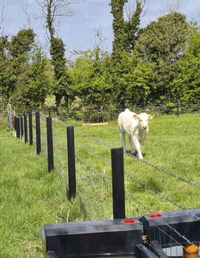 Plastic Fencing | Next Generation Plastics | www.ngp.ie